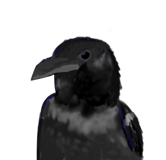 🐦‍⬛Raven🐦‍⬛ - ibisPaint