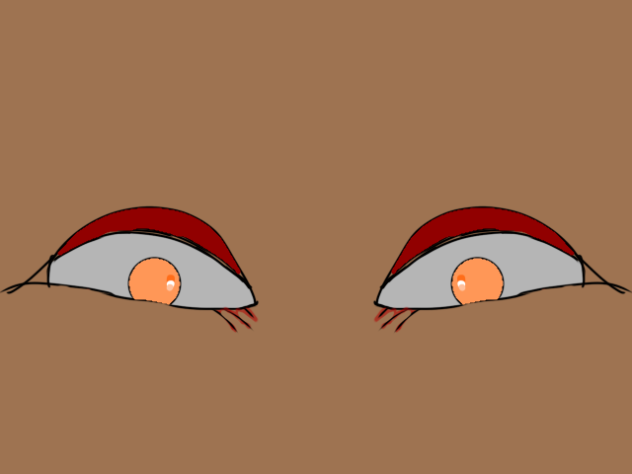 Eye animation - ibisPaint
