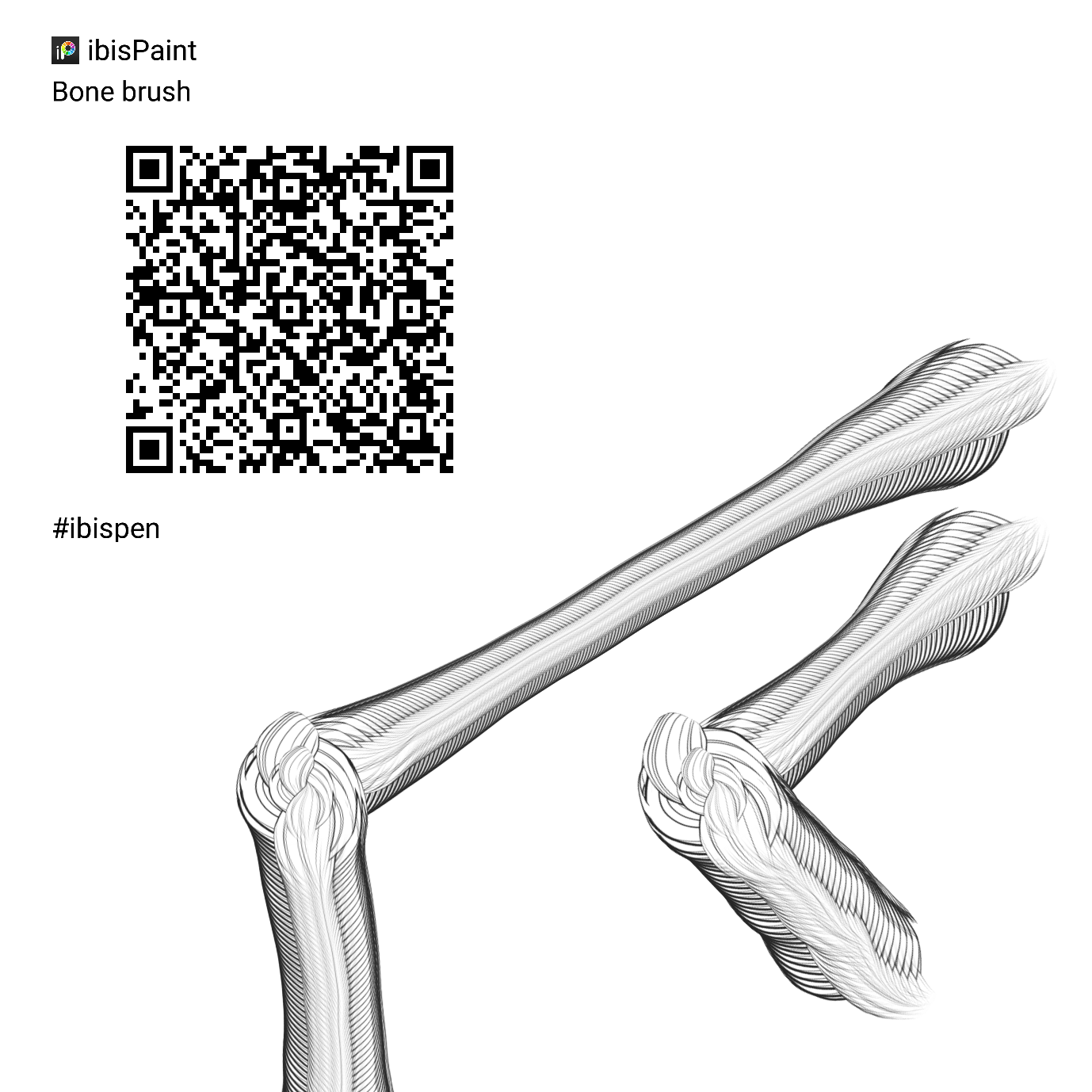 bone brush - ibisPaint