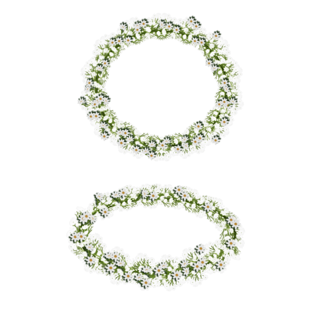 flower crown - ibisPaint