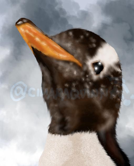 Penguin 🐧 - ibisPaint