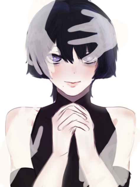 Wanderer - ibisPaint