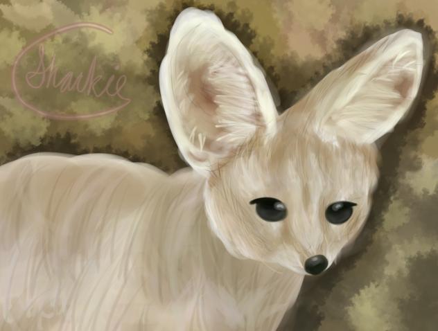 Fennec Fox - ibisPaint