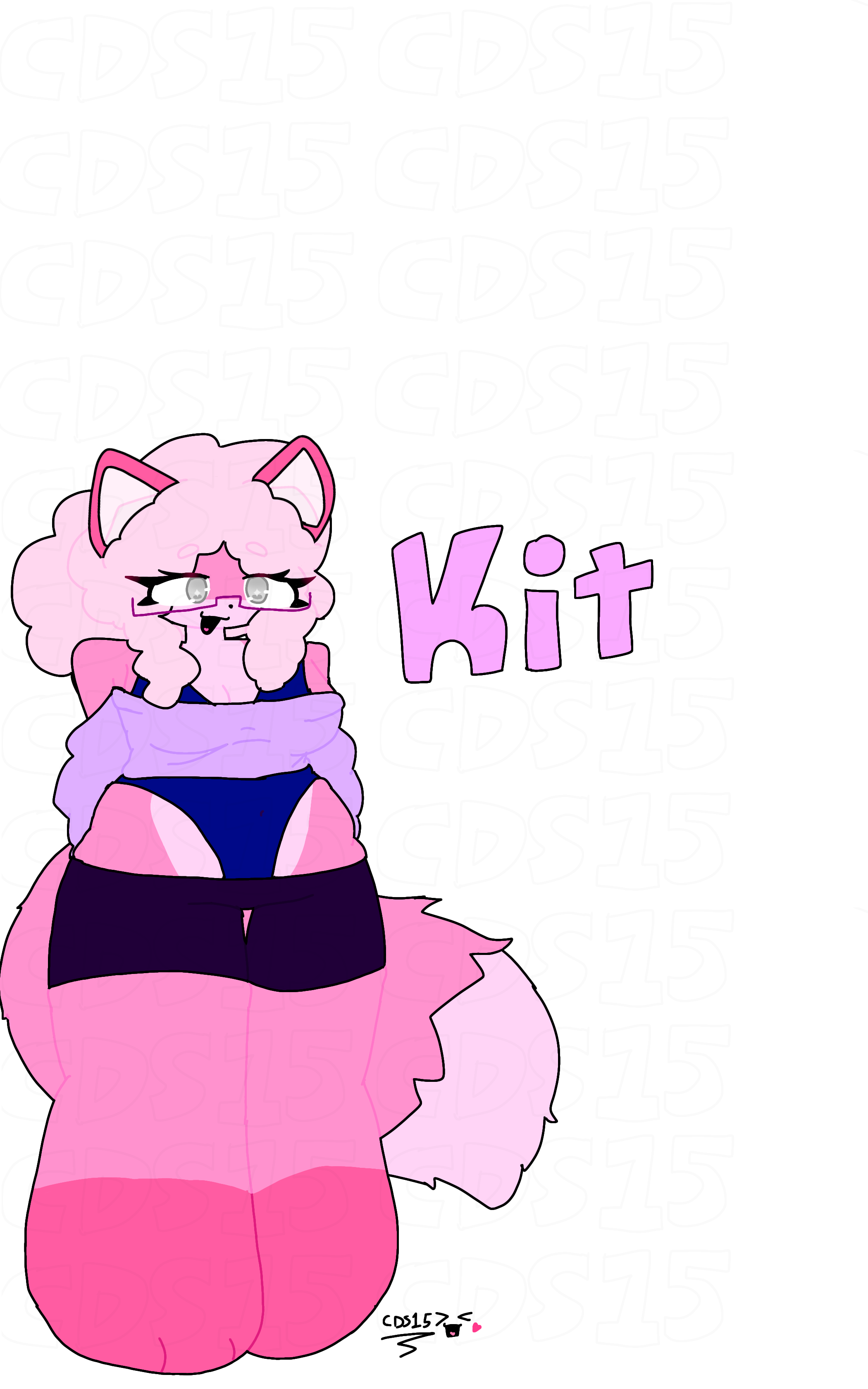 Kit - ibisPaint