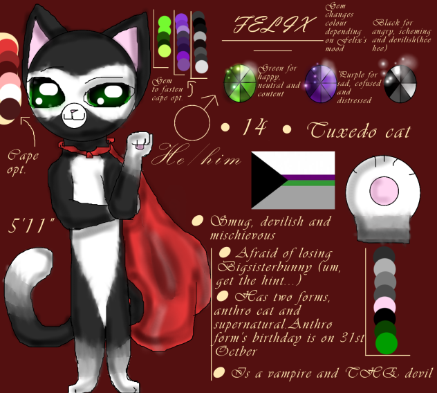 Felix ref - ibisPaint