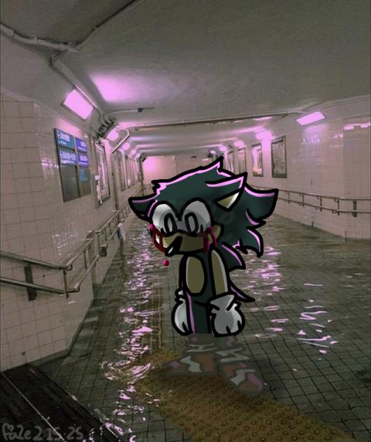 Sink (Sonic) is the Pool Rooms - ibisPaint