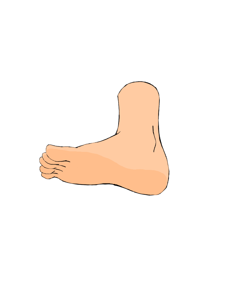 foot - ibisPaint