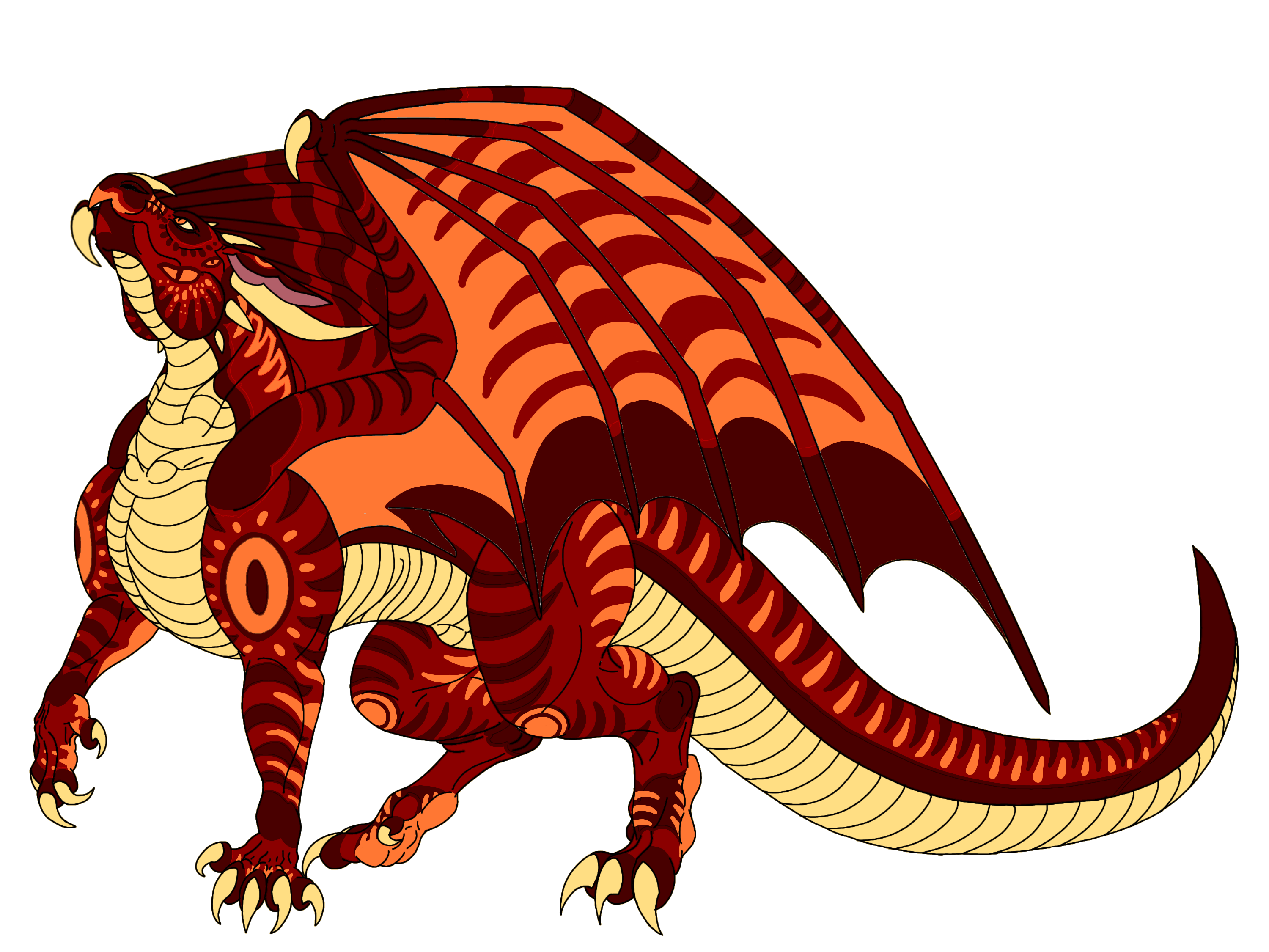 Male Dragon Sexual Dimorphism Study - ibisPaint