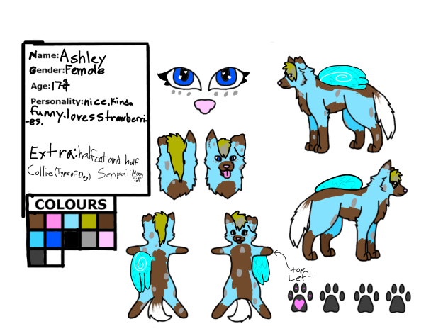 Oc ref sheet - ibisPaint