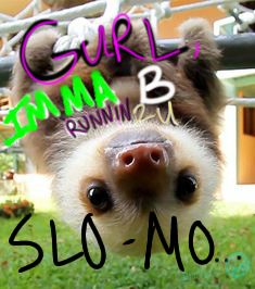 ROMCOM SLOTH - ibisPaint