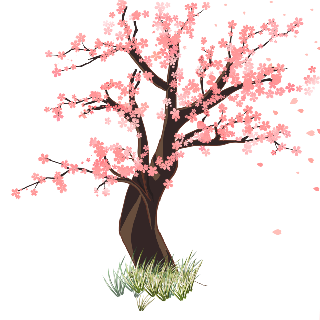 sakura tree - ibisPaint