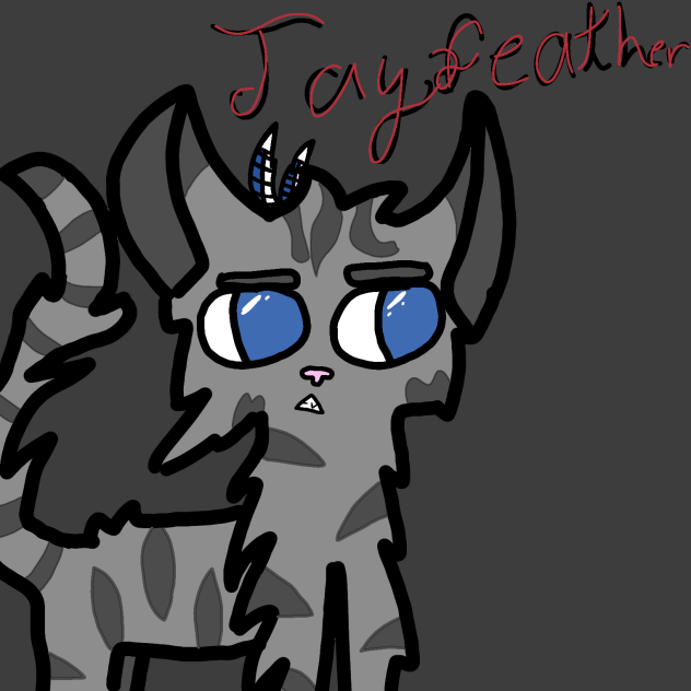 Jayfeather - ibisPaint