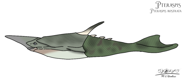 Pteraspis rostrata - ibisPaint