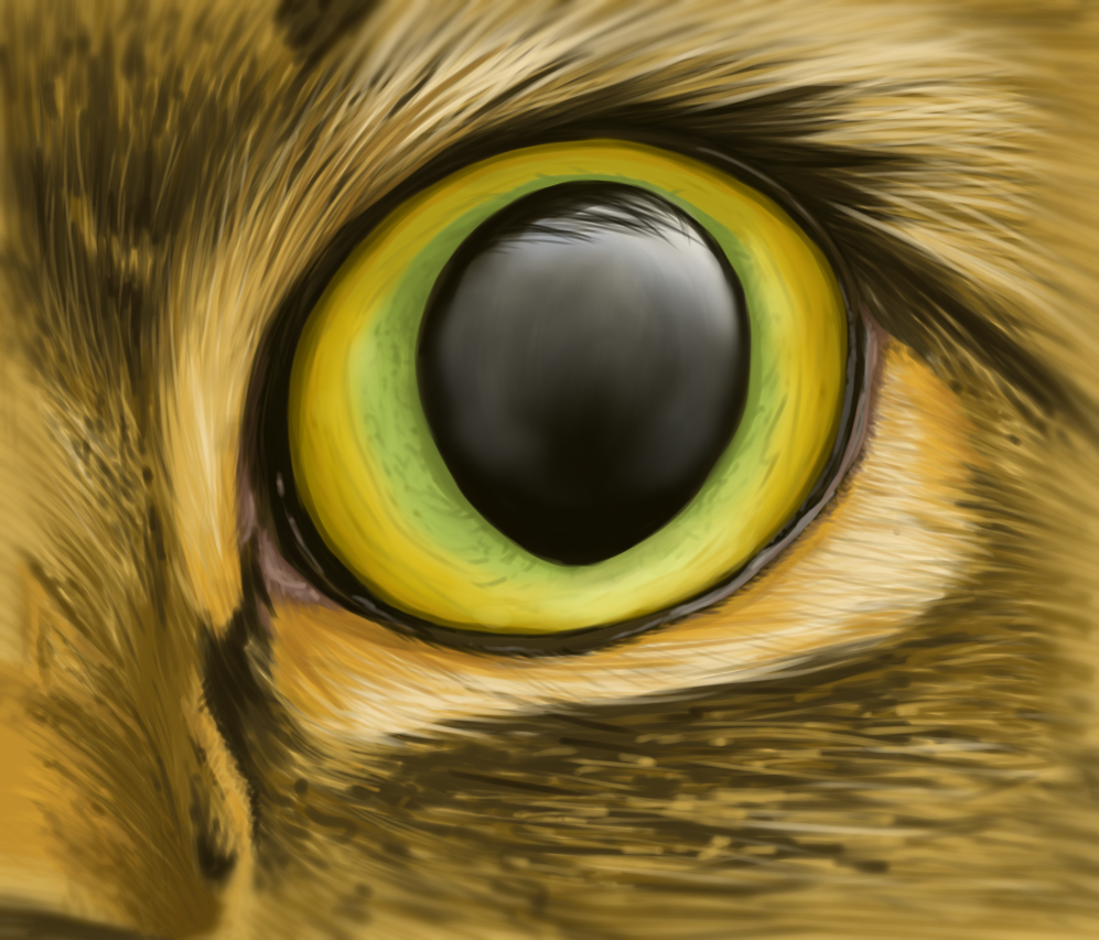 Up close - ibisPaint