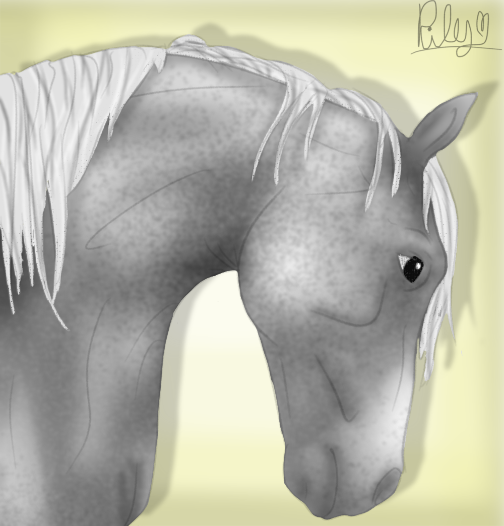 Horse head - ibisPaint