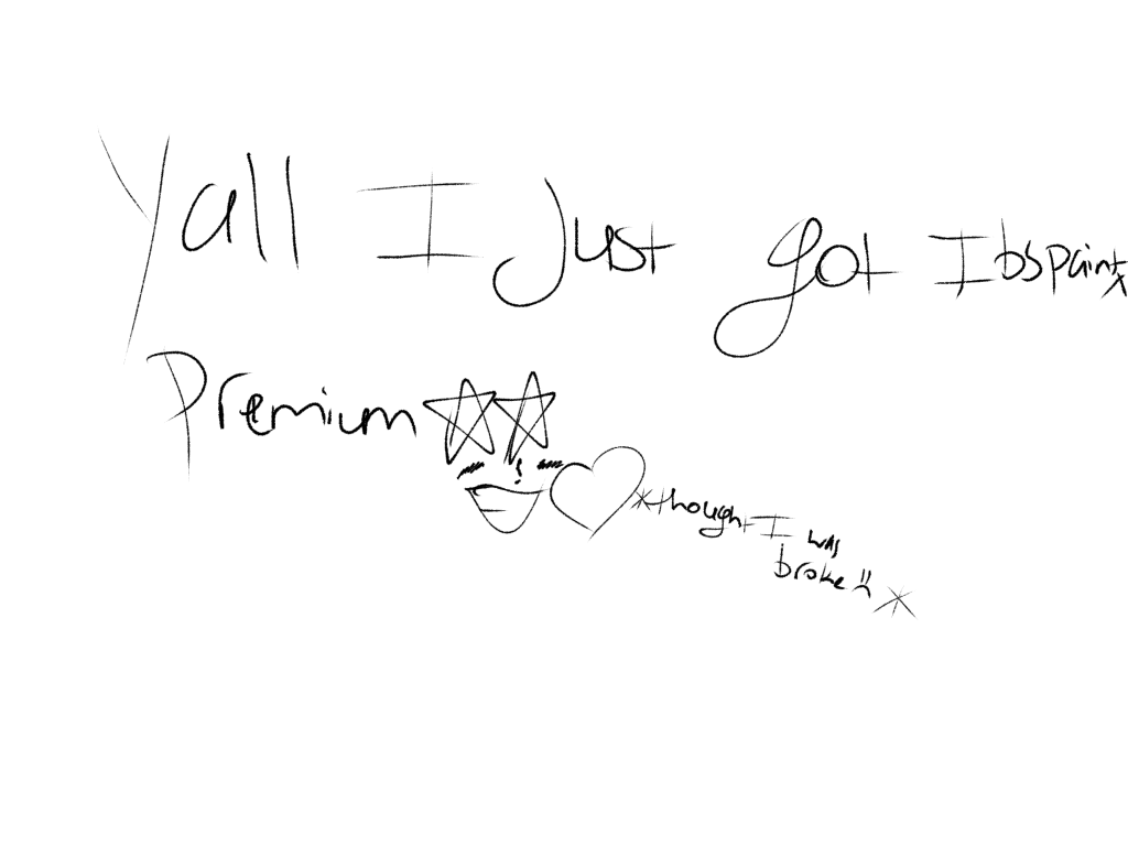 Got ibisPaintX premium - ibisPaint