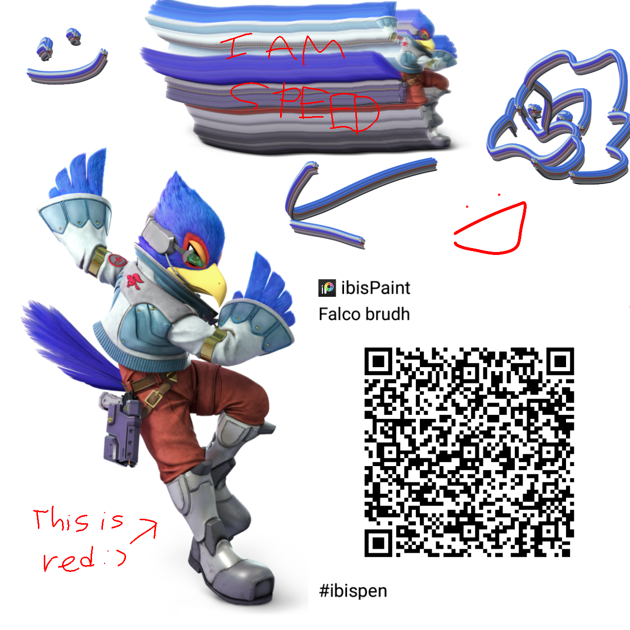 Falco brudh (real) - ibisPaint