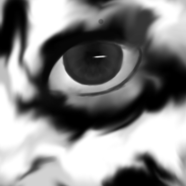 I see illusions - ibisPaint