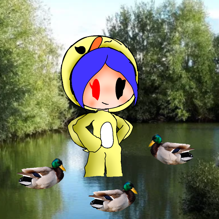 DUCKS - ibisPaint