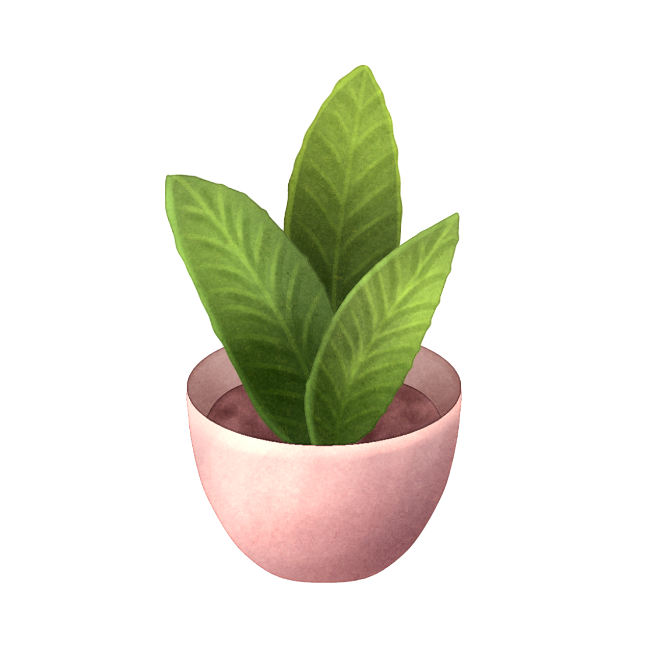 Plant pot - ibisPaint