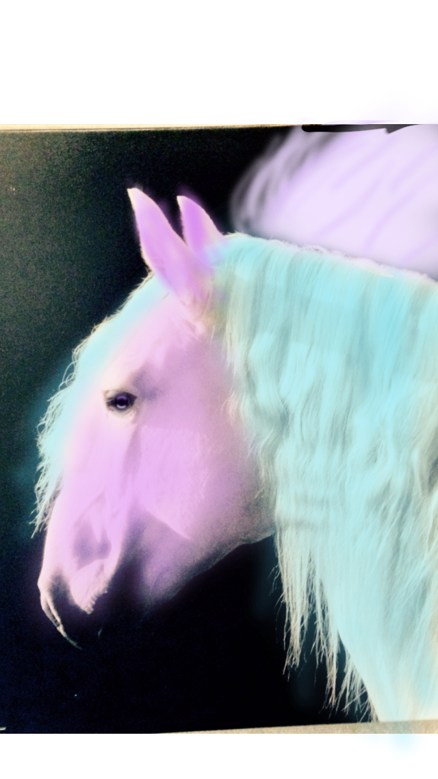 Pegasus - ibisPaint