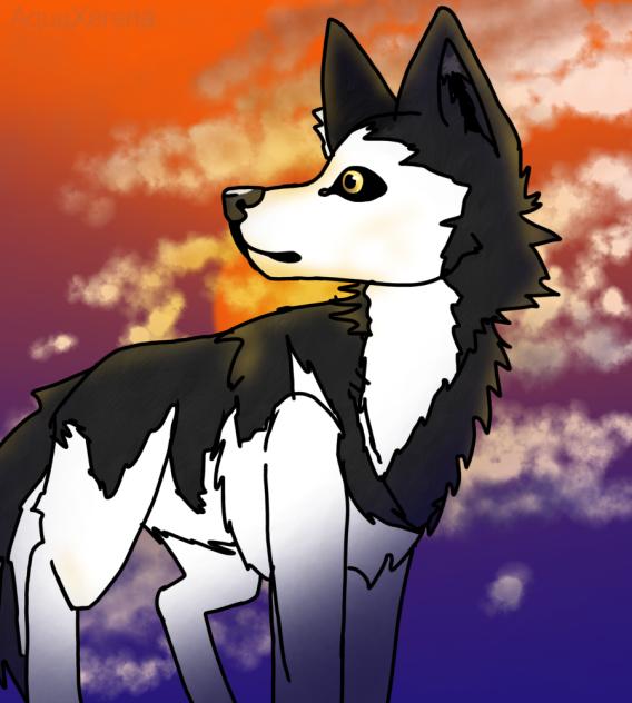 alpha - survivors - ibisPaint