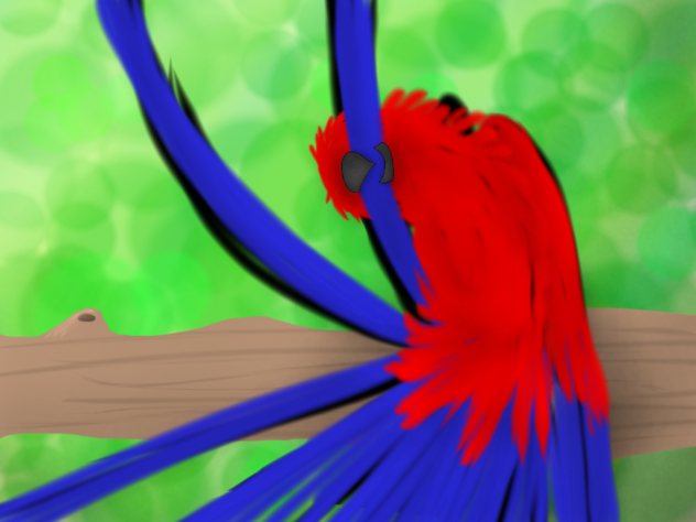 Macaw - ibisPaint