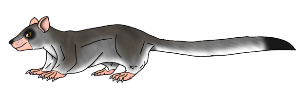 Common Ratglider render - ibisPaint