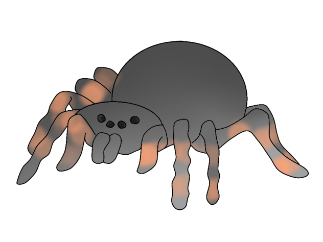 Tarantula - ibisPaint