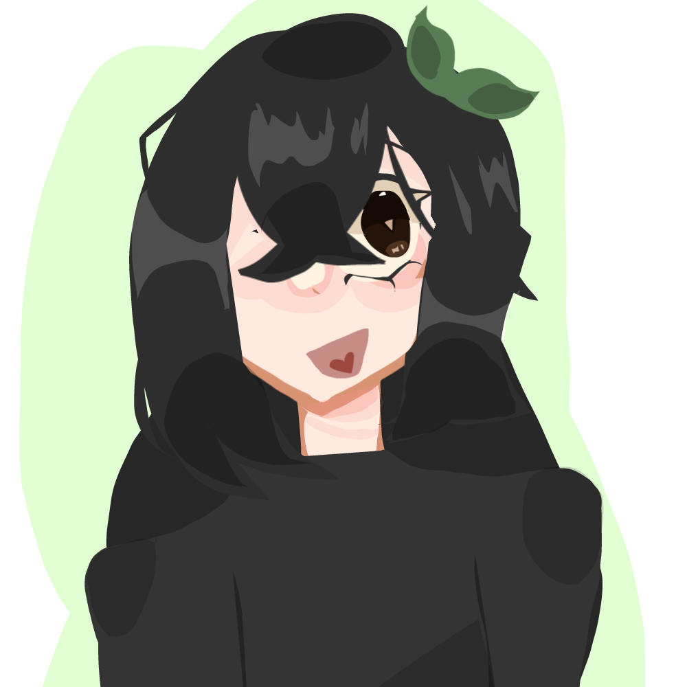 Lasso art (Nori) - ibisPaint