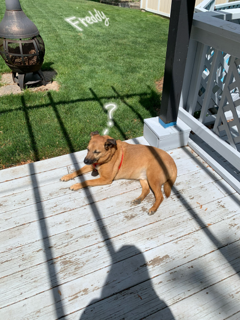 Fredrick - ibisPaint