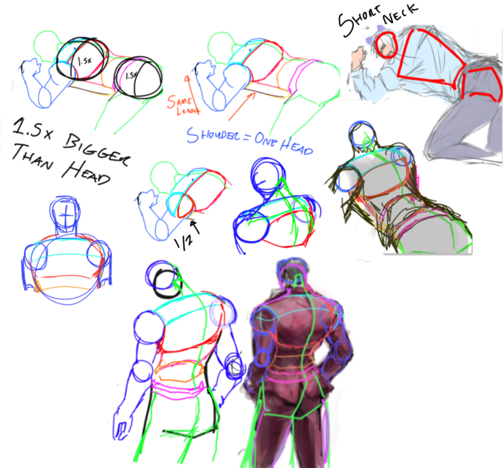 Male proportions tut (2) - ibisPaint