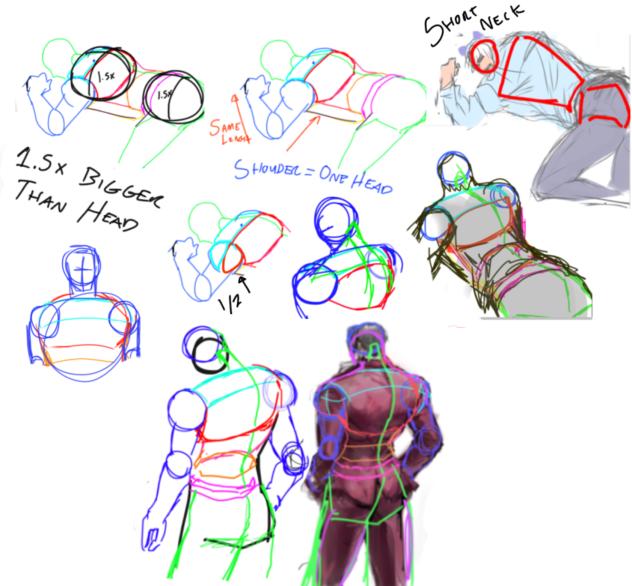 Male proportions tut (2) - ibisPaint