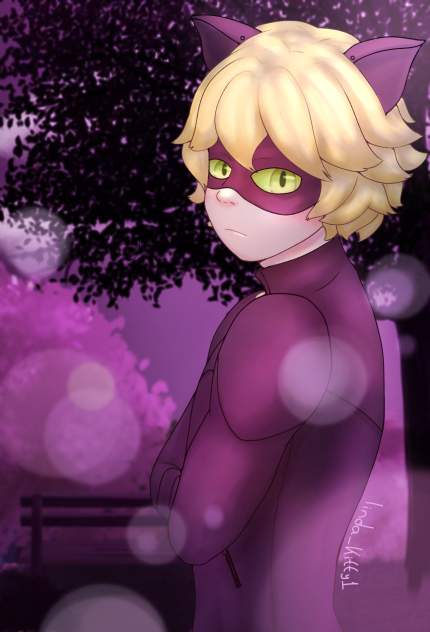🐈‍⬛Cat Noir🐈‍⬛ - ibisPaint