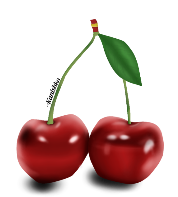 realistic cherry - ibisPaint