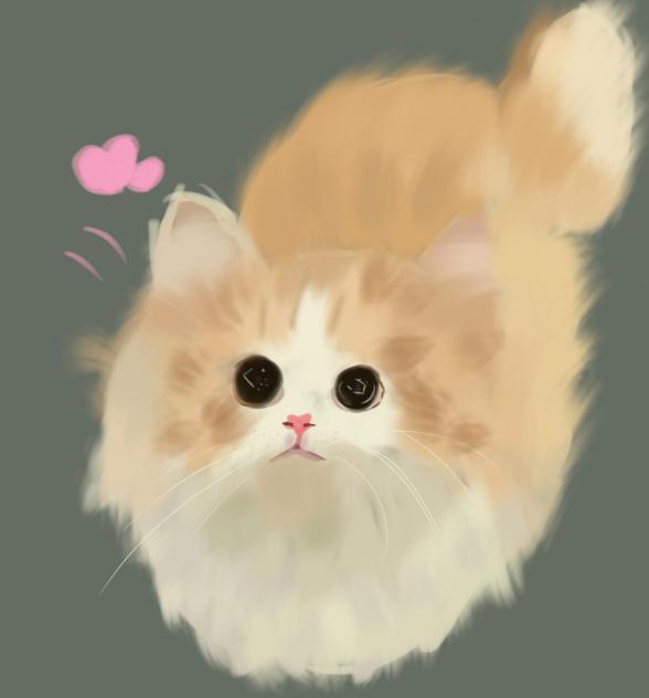 meow - ibisPaint