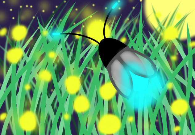Firefly - ibisPaint