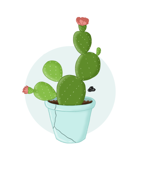 Cactus redraw - ibisPaint