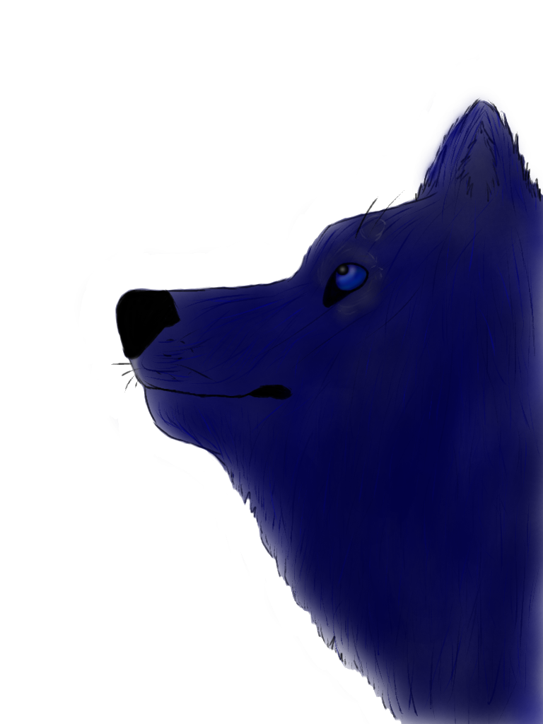 Blu - ibisPaint