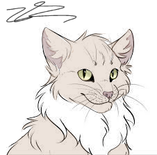 Cat base - ibisPaint