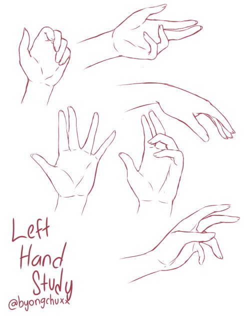 Left Hand Study - ibisPaint
