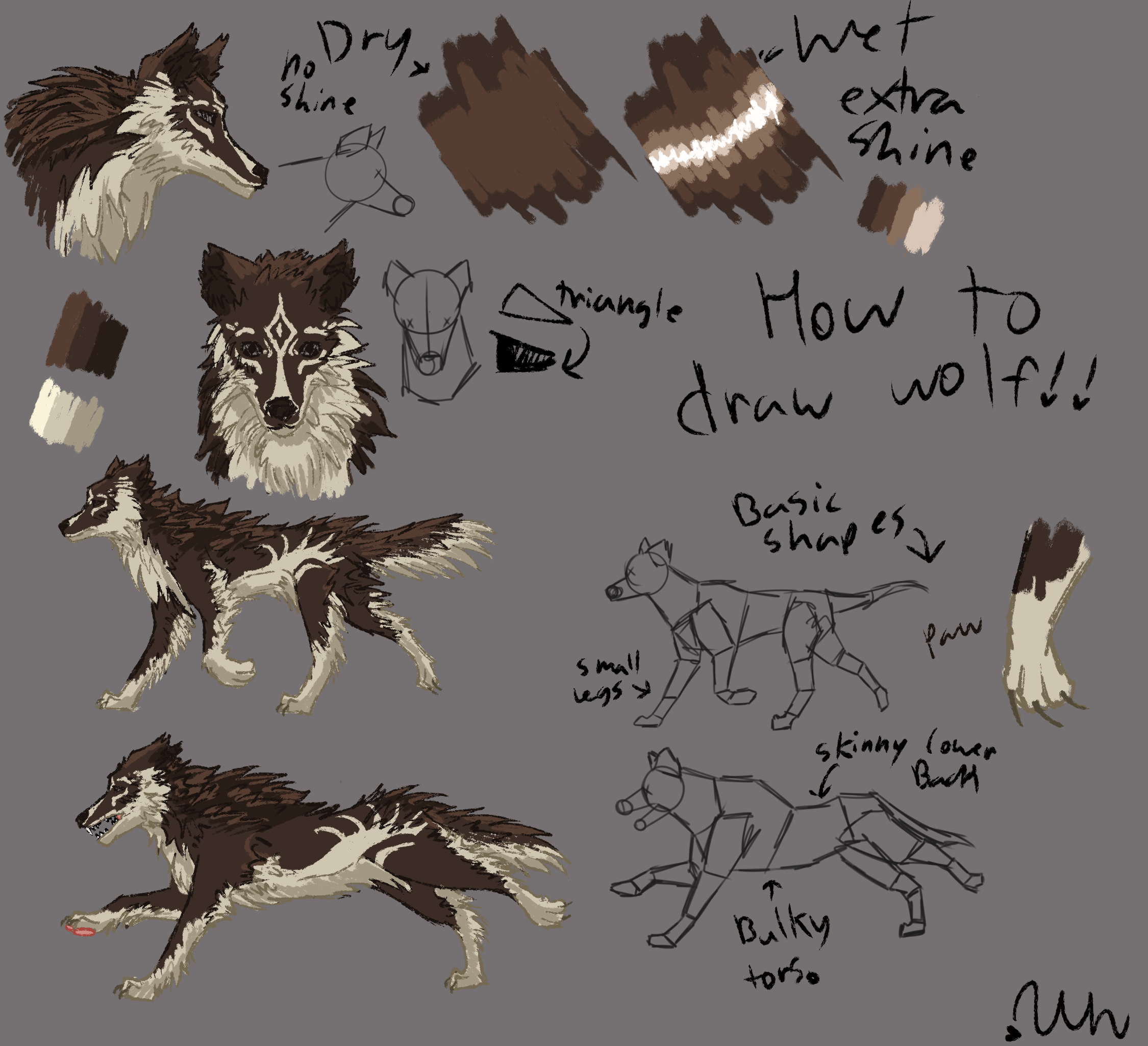 How to draw a wolf - ibisPaint