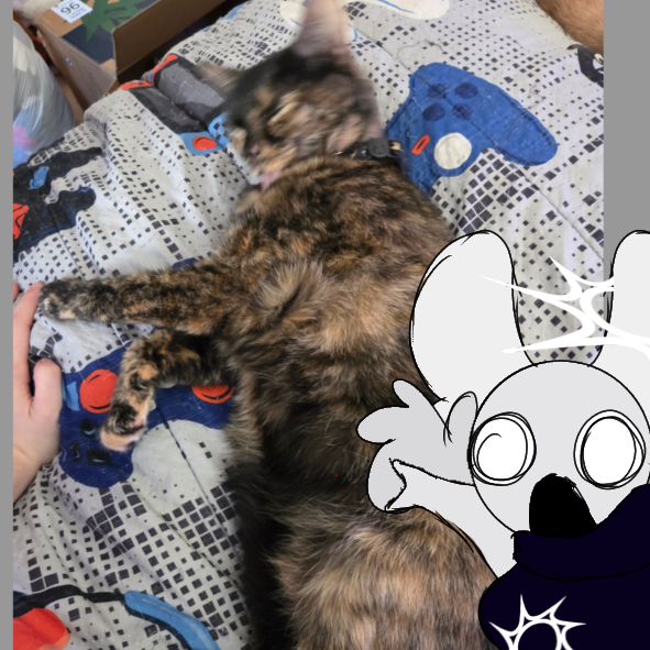 read desc - ibisPaint