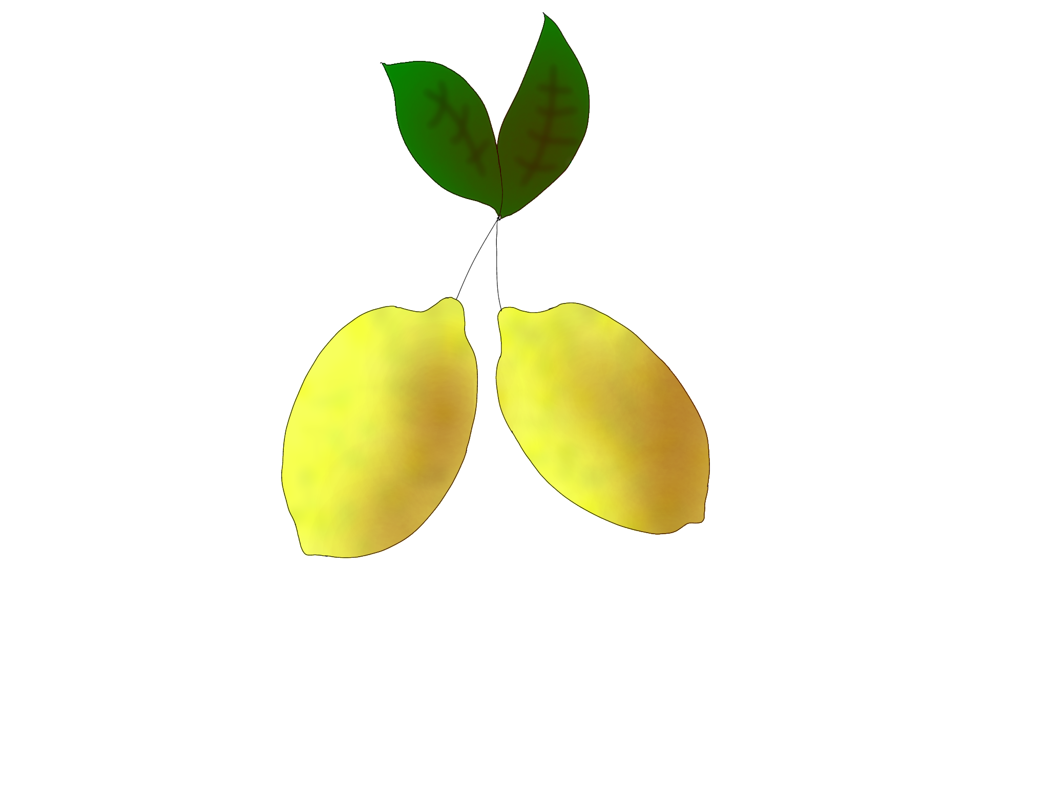 Lemons - ibisPaint
