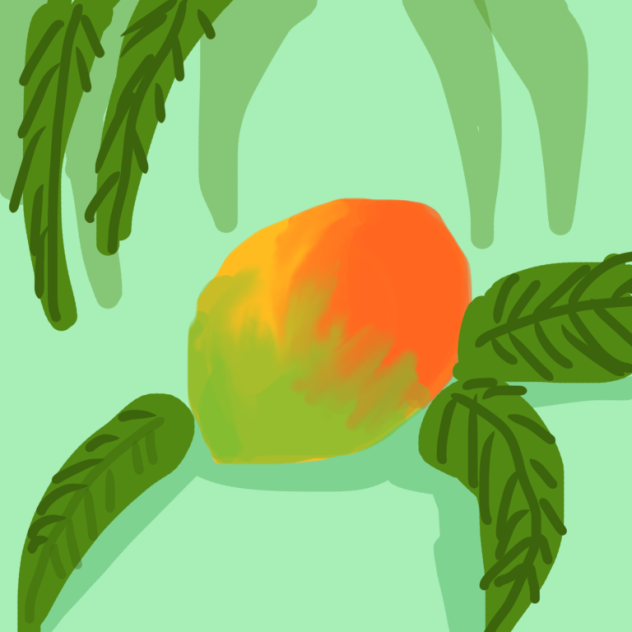 Resting mango - ibisPaint