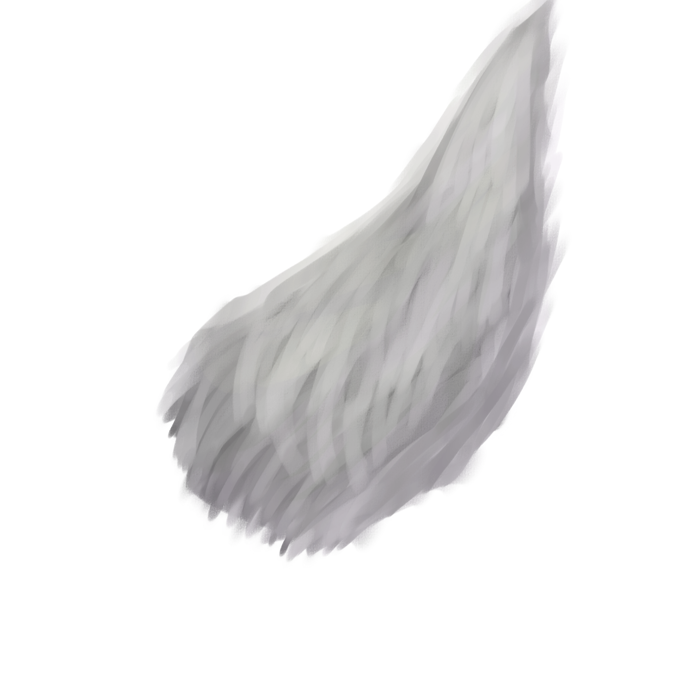 white tail - ibisPaint