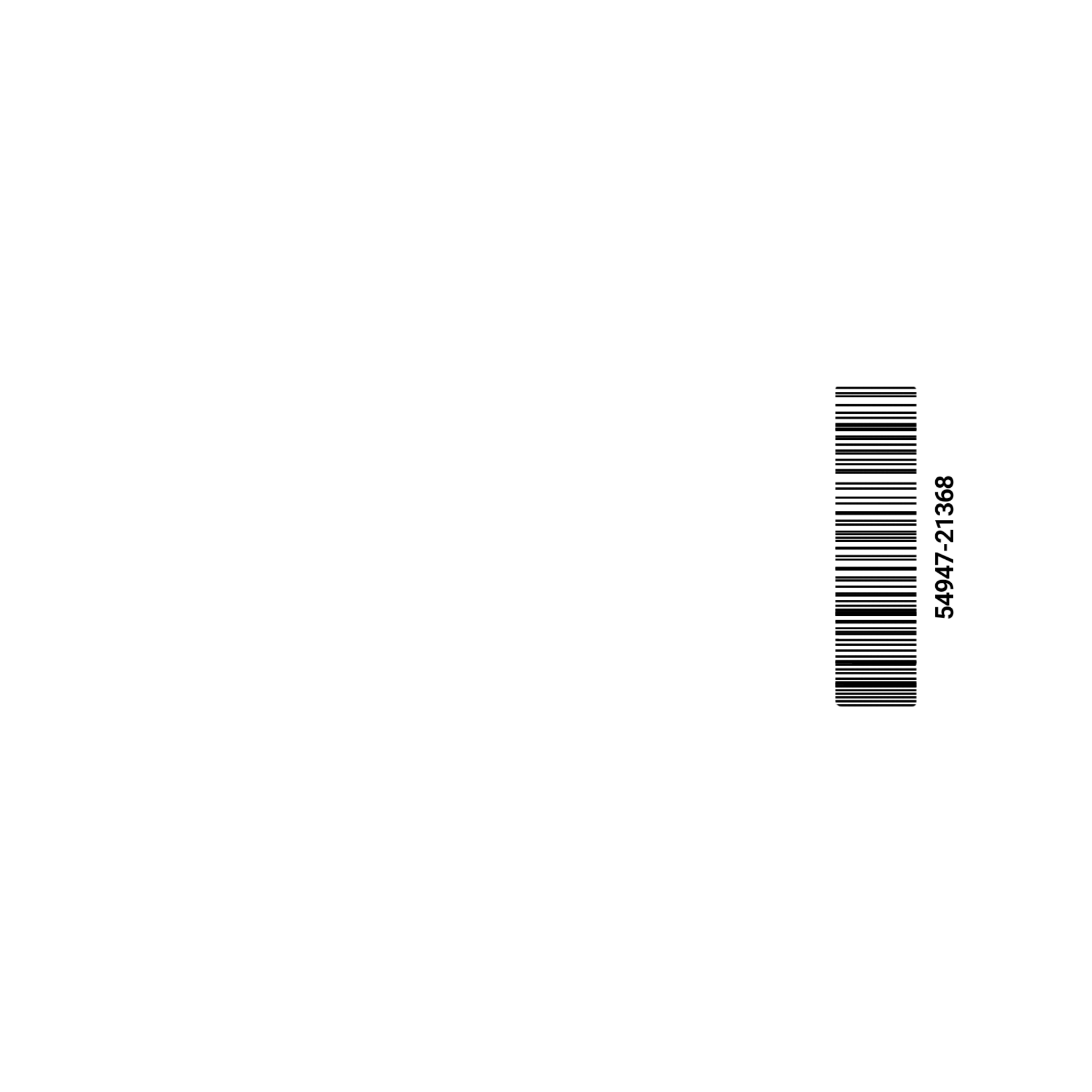 Blank Ticket 1 - ibisPaint