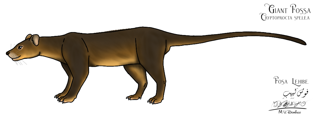 Giant Fossa - ibisPaint