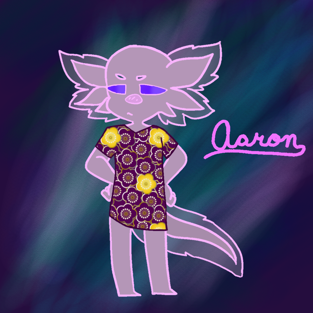 Aaron - ibisPaint