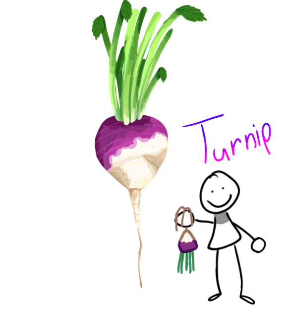 Turnip - ibisPaint